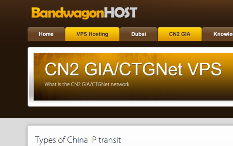 dmit服务器度评测，CN2 GIA线路+AMD性能，真有说的那么稳? - 鲸算VPS测评