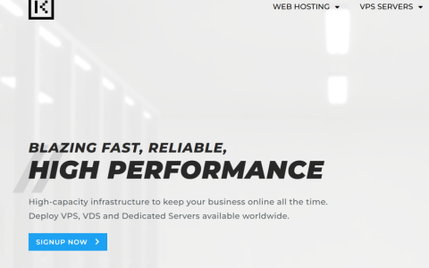 4837线路到底是什么?亲测多个VPS后，我终于懂了背后的门道 - 鲸算VPS测评